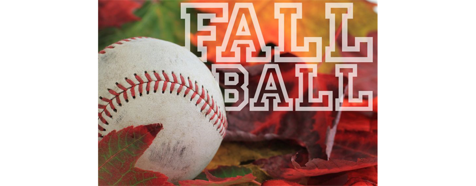 Grand Slam Sports Tournaments | Baseball | Let the FALL Begin! - Ages ...